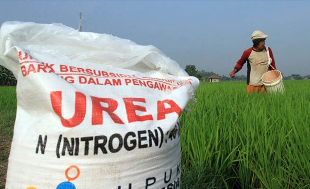 Pemerintah Resmi Eliminasi 27.000 Distributor Pupuk, Kini Diambil Alih ...